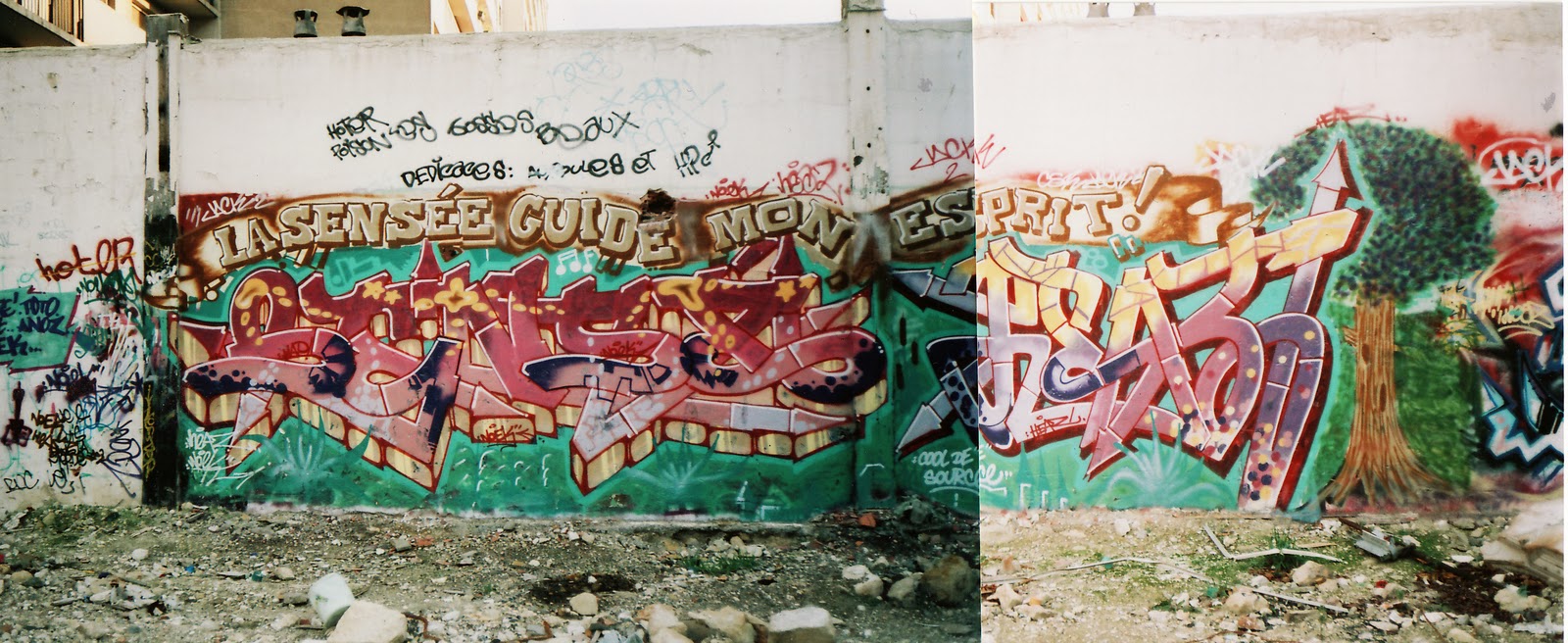 Graffiti Paparazzi: Alexandre Dumas