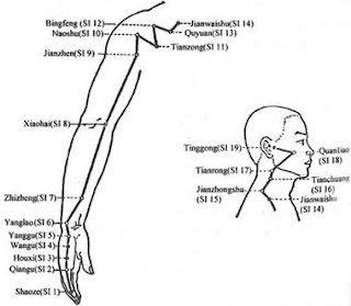 Acupuncture: Small Intestine Channel