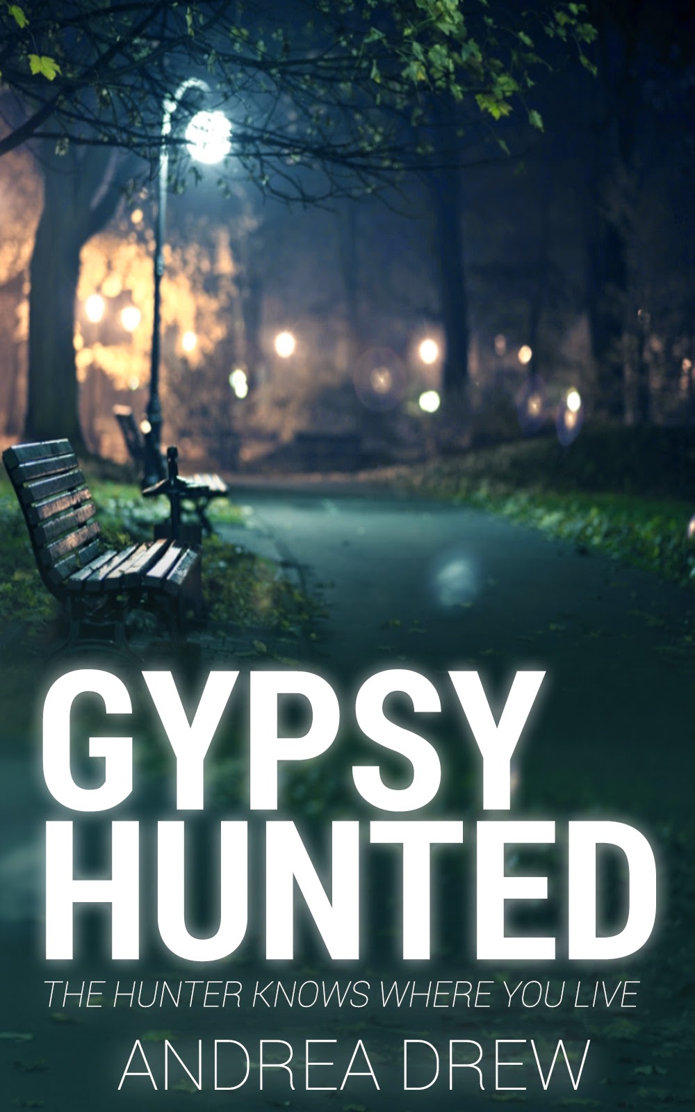 MAD Hoydenish: Book Blast & Giveaway: GYPSY HUNTER by Andrea Drew