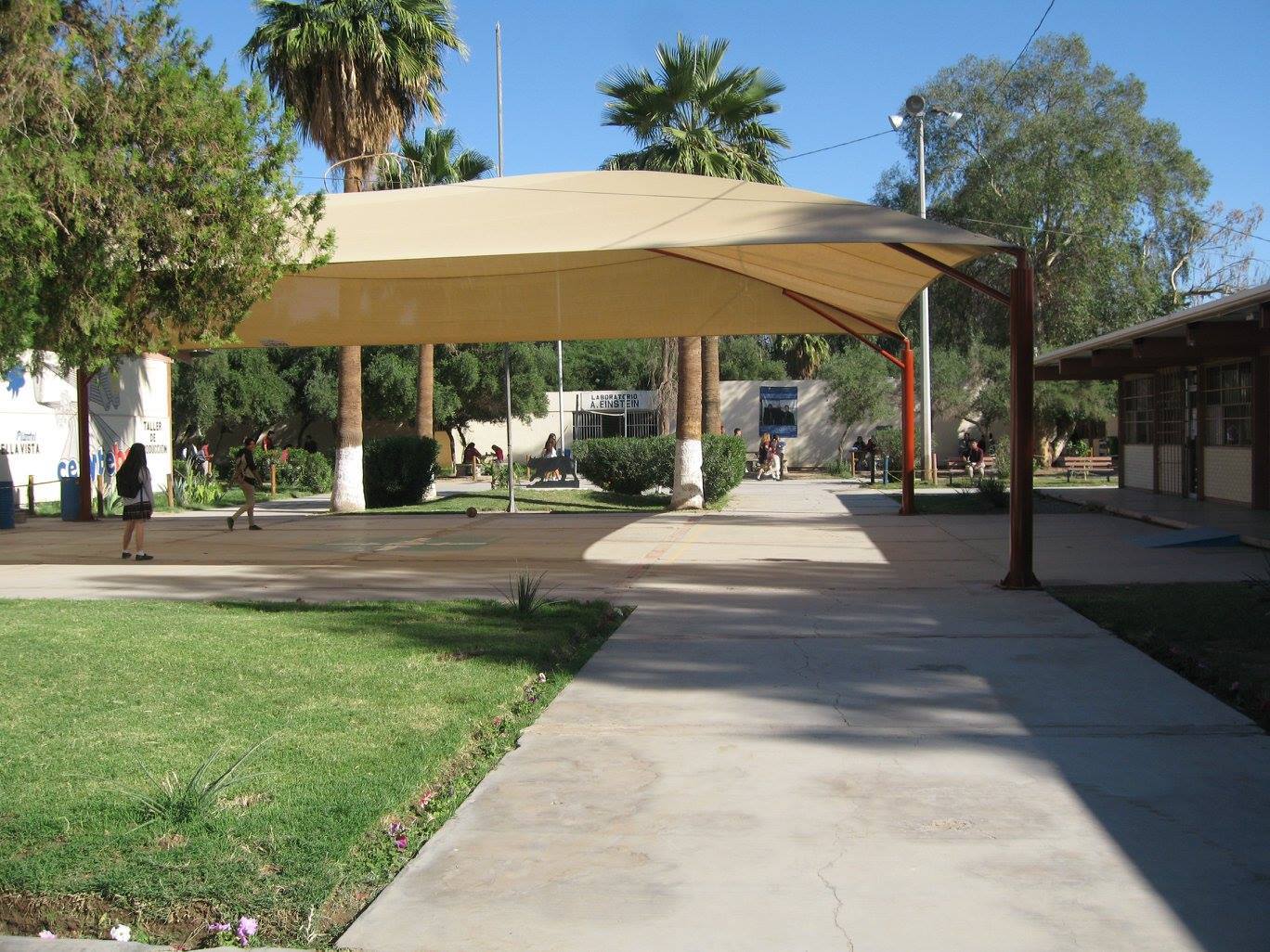 Prensa CECYTEBC: OFRECE CECyTE BC BELLAVISTA EL BACHILLERATO PARA ADULTOS.