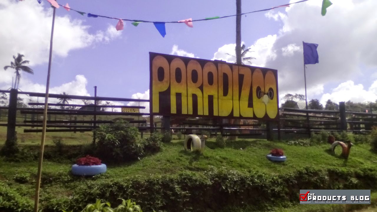 Paradizoo: A Nature Destination Worth Visiting
