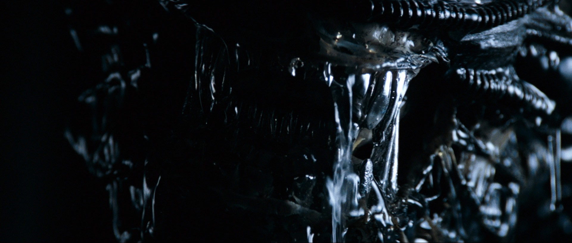 The Beautiful Film Frames: Alien (1979) Blu-Ray Screenshots