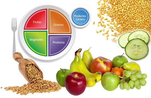 UNE NUTRICIÓN HUMANA: DEFINICIONES DE NUTRICIÓN, NUTRICIÓN HUMANA Y ... UNE NUTRICIÓN HUMANA: DEFINICIONES DE NUTRICIÓN, NUTRICIÓN HUMANA Y ...