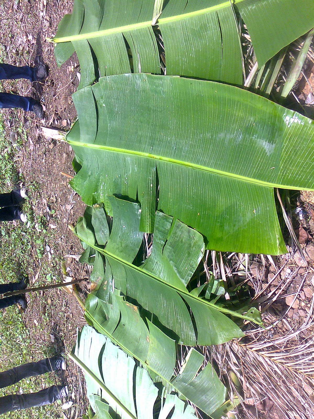 Proyecto Final Bayron Gonzalez