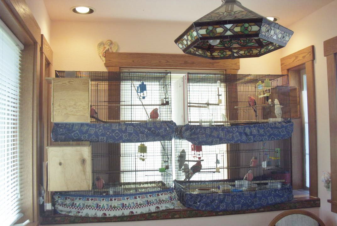 The Splendid Bourke Bird Blog: Installing Parakeet Nest Boxes