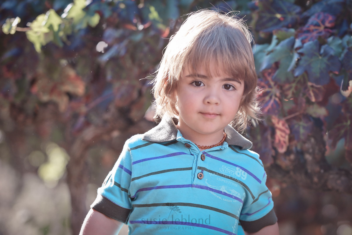 susie leblond photography: Hardiman Family