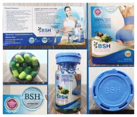 Laa Rayba Shop: BSH PIL PELANGSING ORIGINAL