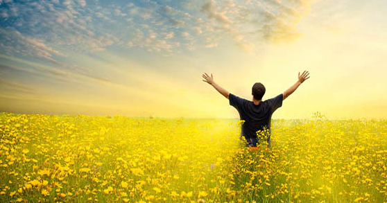 The Healing Qualities of 7 Colors of Sun Light Rays Bath | Education ...