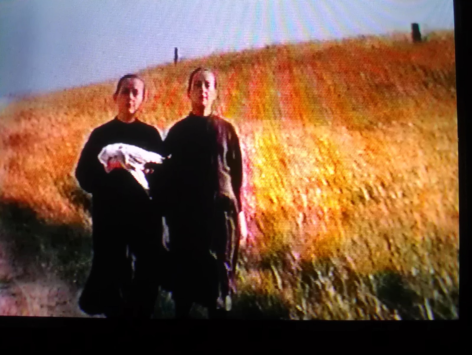 theater of guts: The Reflecting Skin