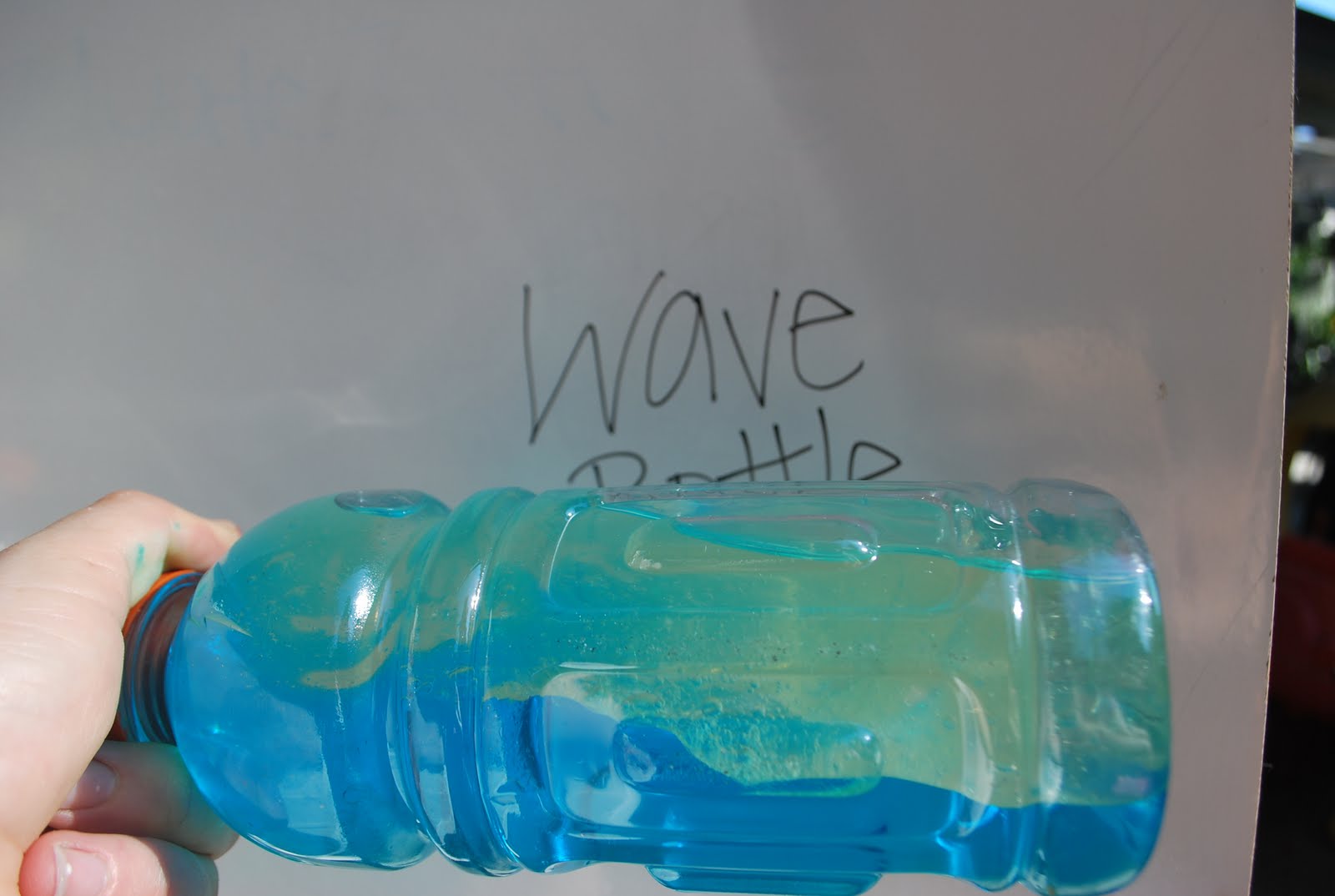 Ocean curriculum on Pinterest | Ocean Crafts, Ocean and Ocean Unit