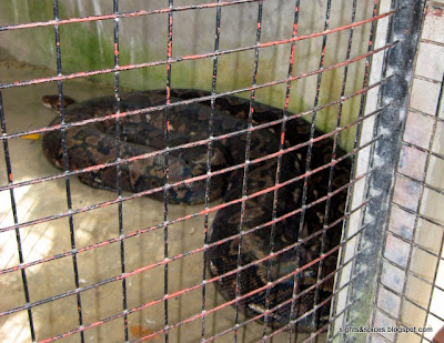 Sights and Spices: Sights: Beautiful BOHOL