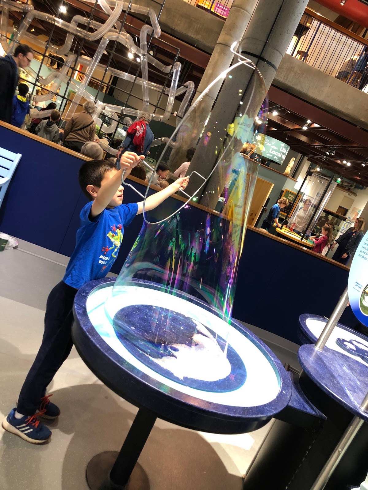 Away We Go!: Woodstock Vermont with Kids- Montshire Science Museum