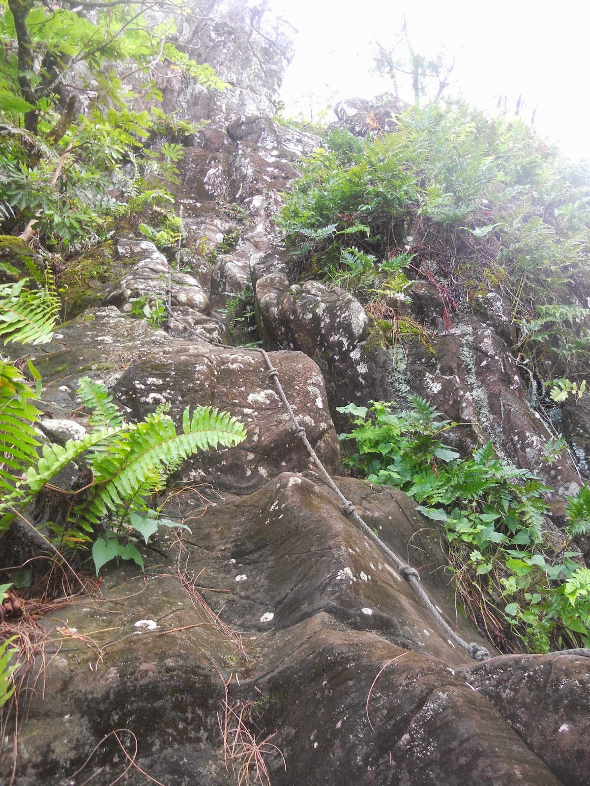 Another Day in New Zealand: Rarotonga Hike - Raemaru Heights Lookout