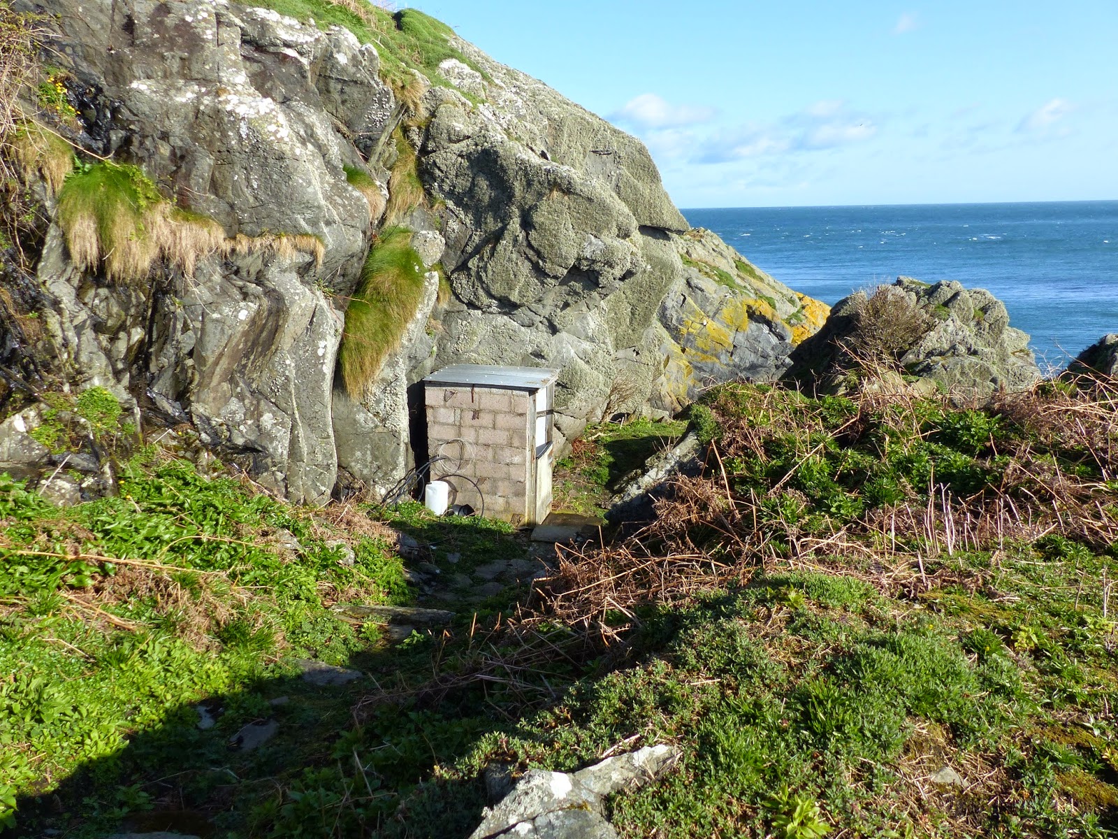 Birding For Pleasure: Copeland Island Visited (Part 2)