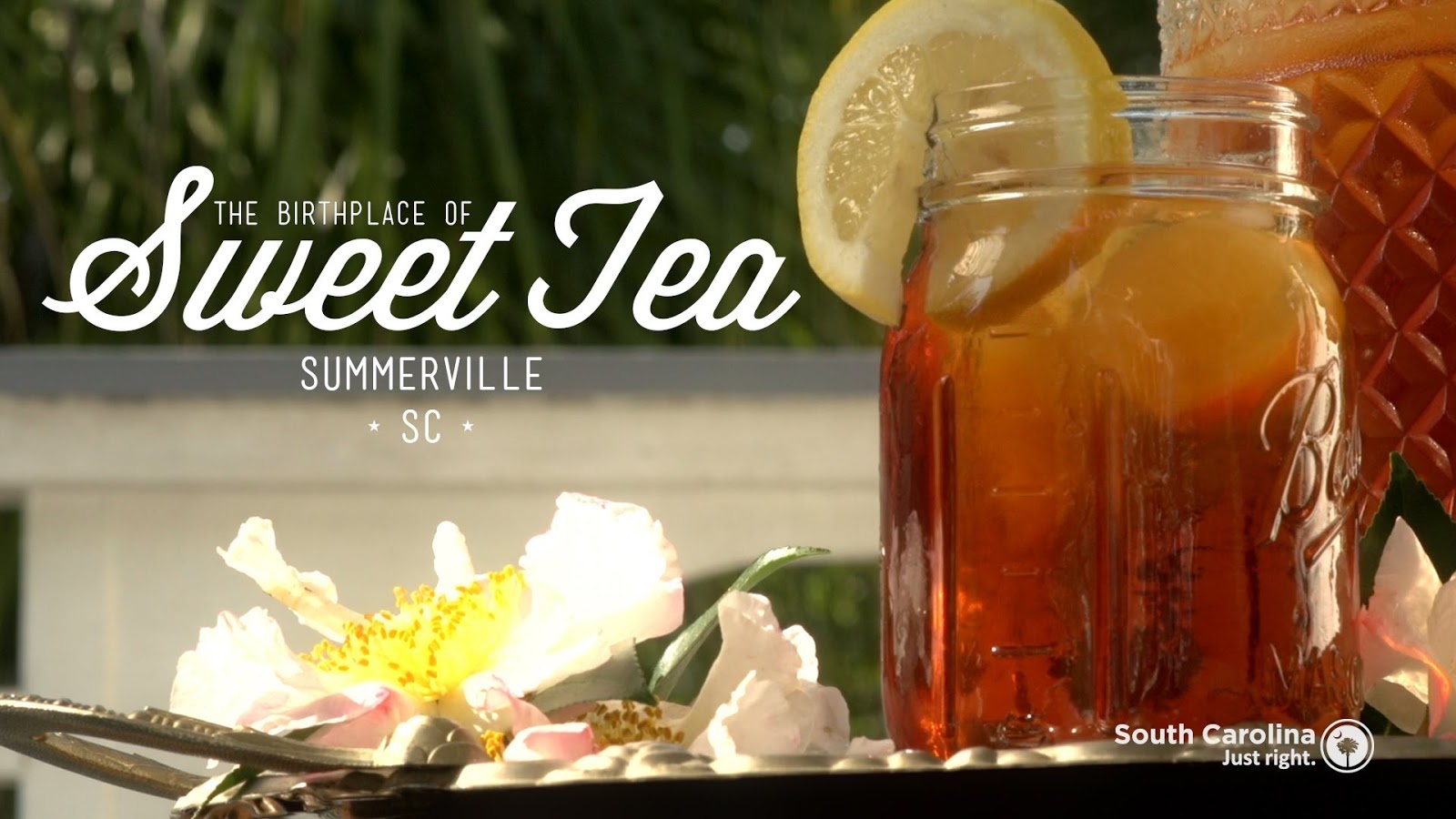 Over 30 of the Best Iced Tea Recipes on the Internet! • That Sweet Tea Life