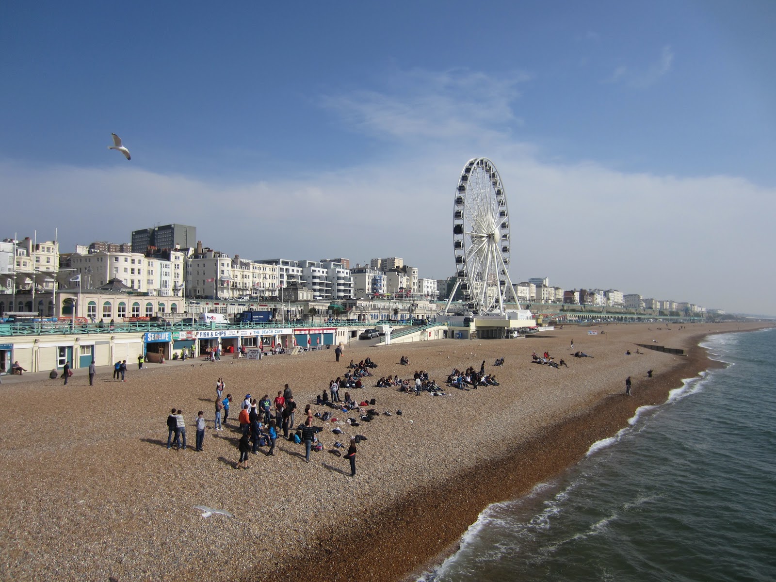 leff: British Holiday Chapter 11: Brighton