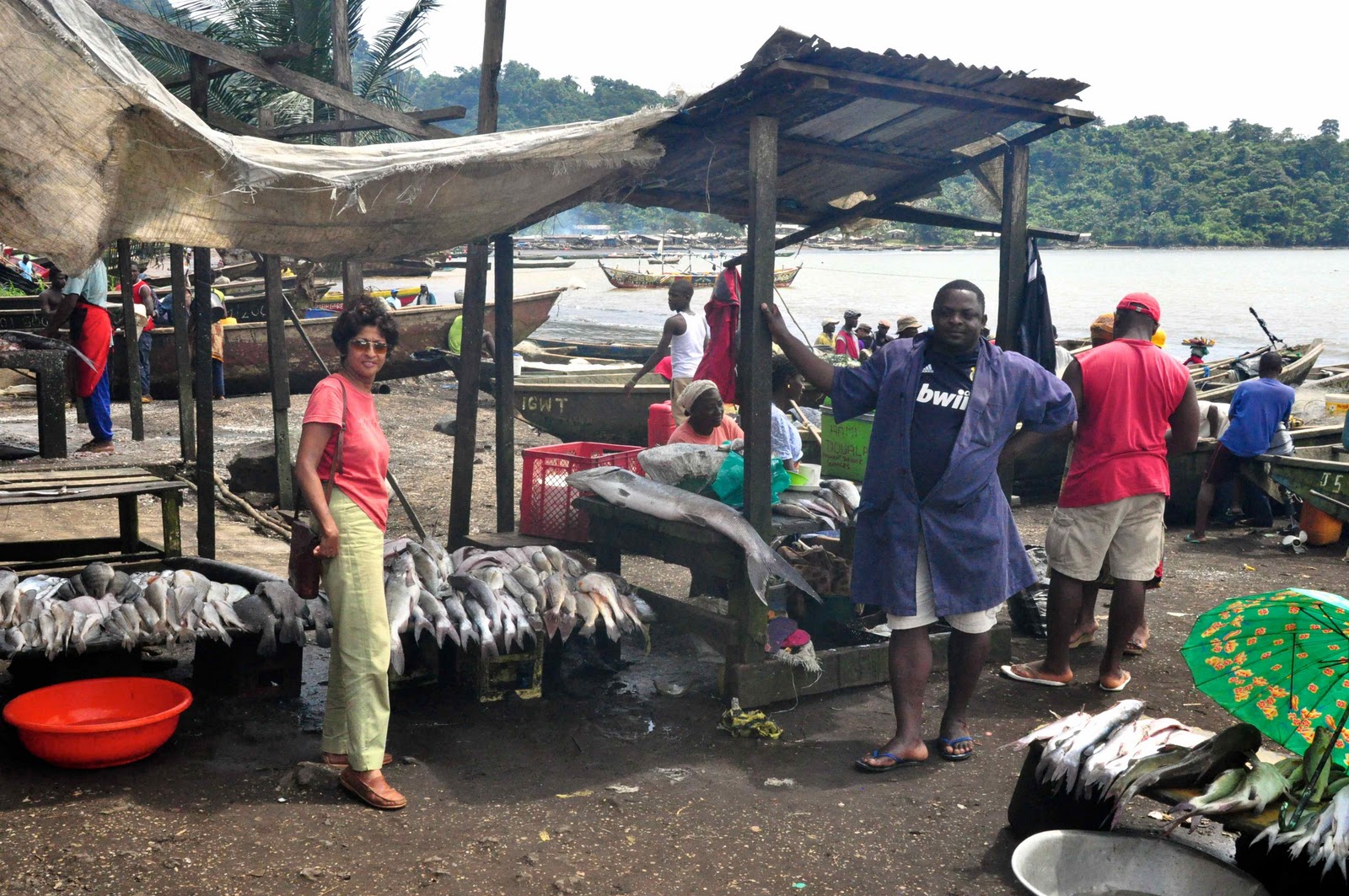 Africa Match: Ploughing through the rain forests of Cameroon