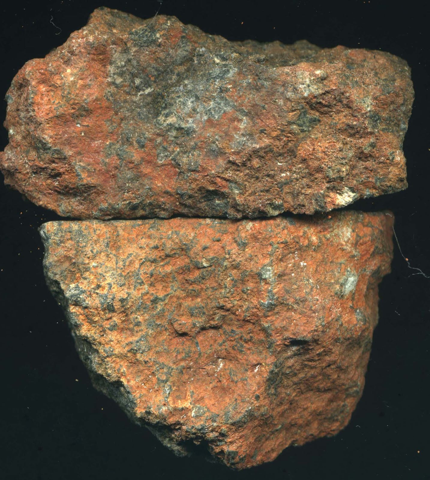 Peridotites: Cumulate olivine and interstitial pyroxene in igneous ...