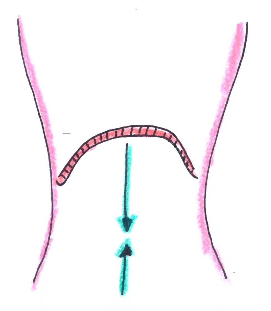 Semplicemente cantare: La respirazione diaframmatica: il mezzo ...