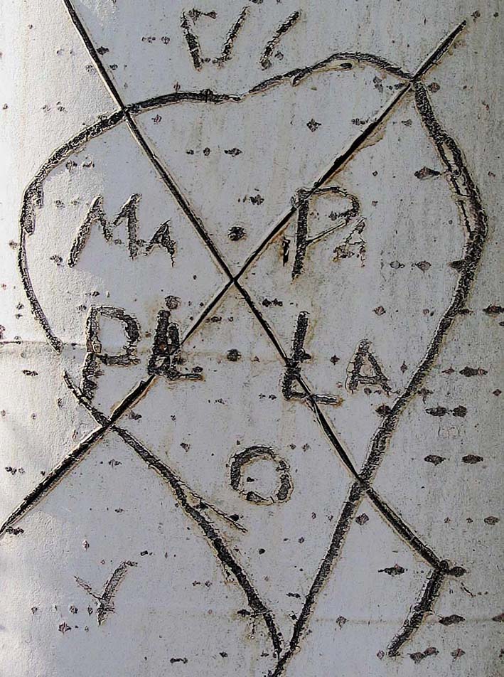 Luz y artes: La cruz que tacha un viejo amor de jóvenes