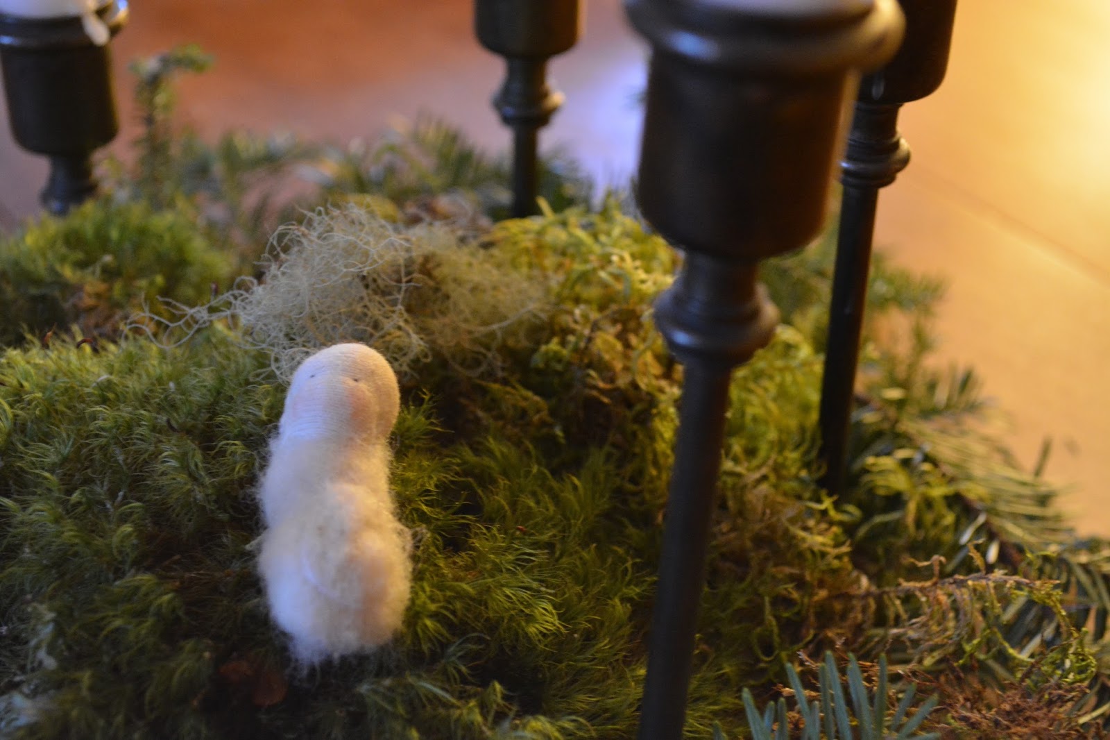 Flying Squirrel: Nativity