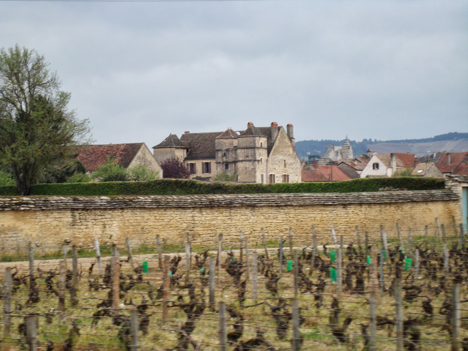 European Dreaming: Day 15 Mersault & Beaune