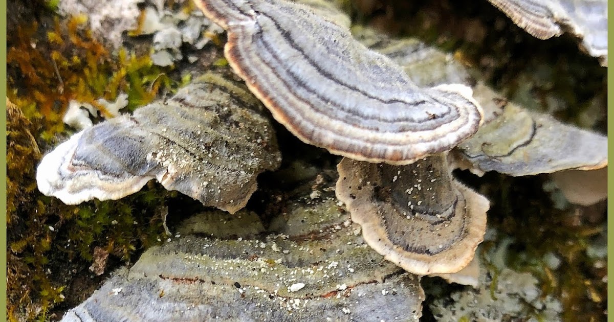 Beth Fish Reads: Wordless Wednesday 522