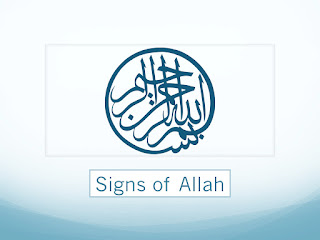 Signs & Science: Signs of Allah