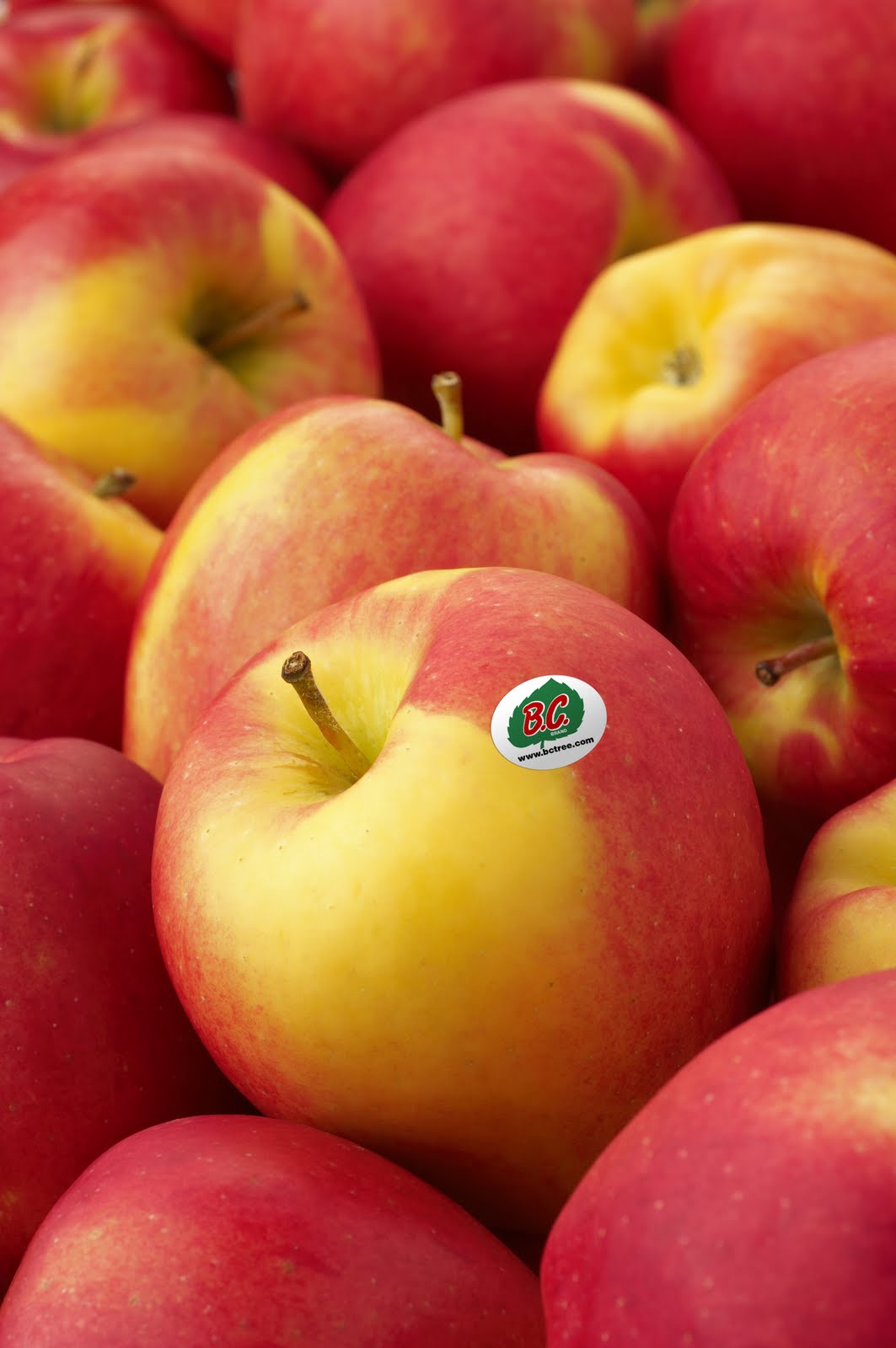 CCFCC 2011 National Conference: BC Tree Fruits: CCFCC 2011 Sponsor