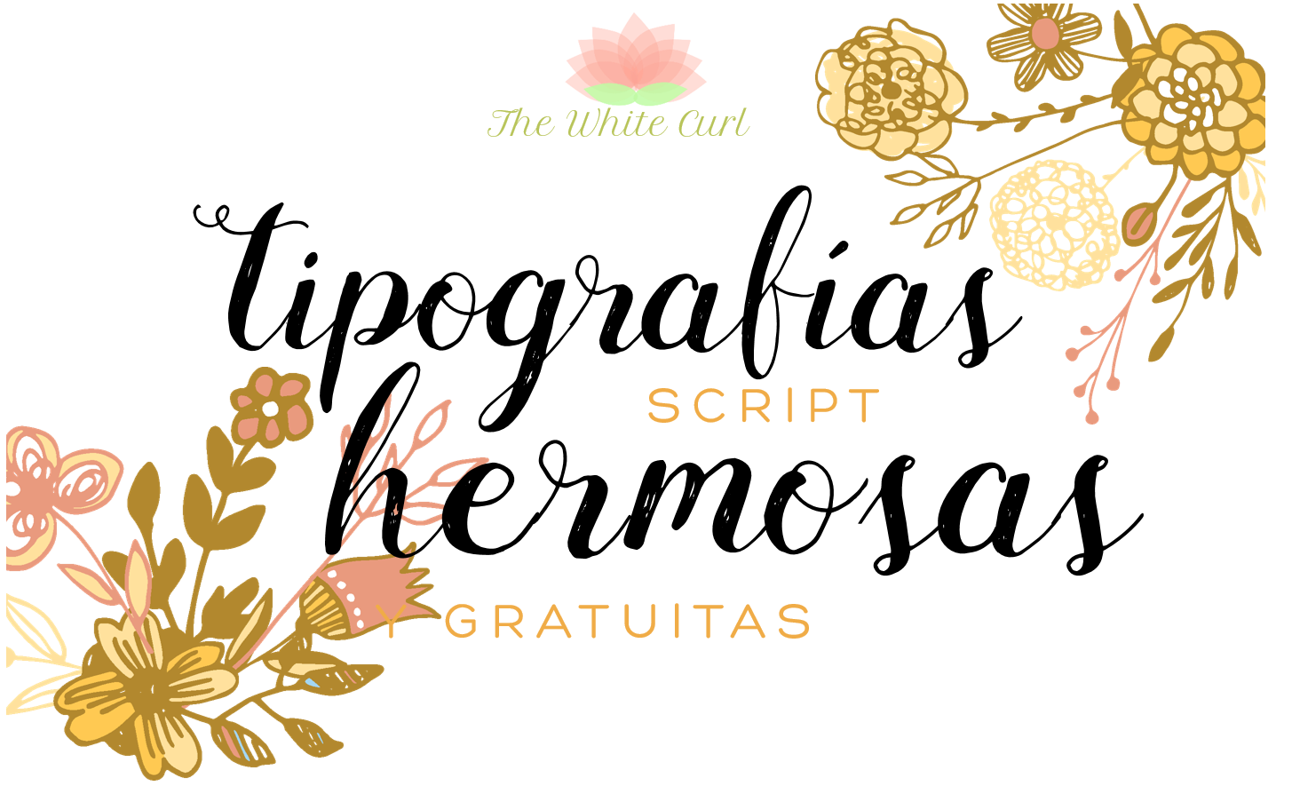Hermosas tipografías script Gratis - The White Curl
