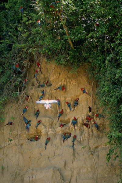 Los Grandes Fotografos: Sam Abell (1945)