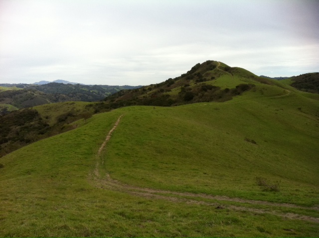 Things to do in the CA Bay Area