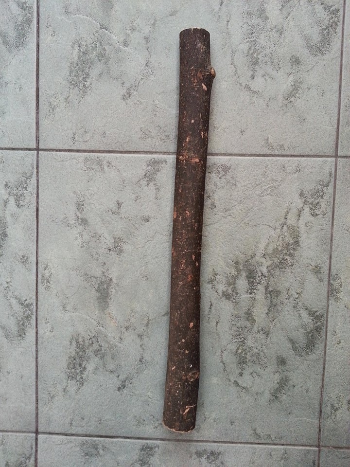 Raja Kayu Malaysia: 15 inch Kayu Tas Jantan (God Mountain Stick) untuk ...