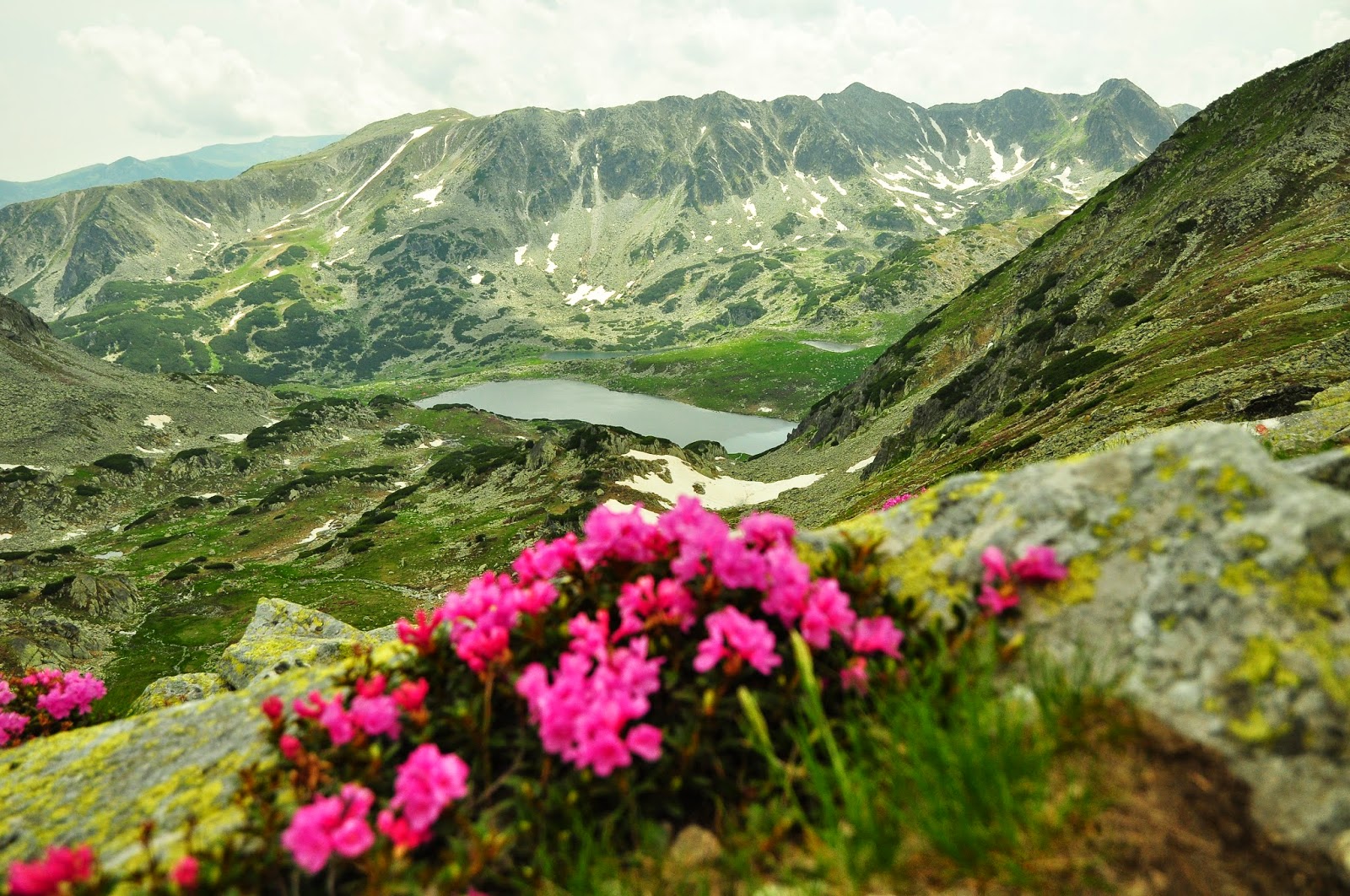 Parcuri Nationale din Romania - Prin Lume Prin Gânduri