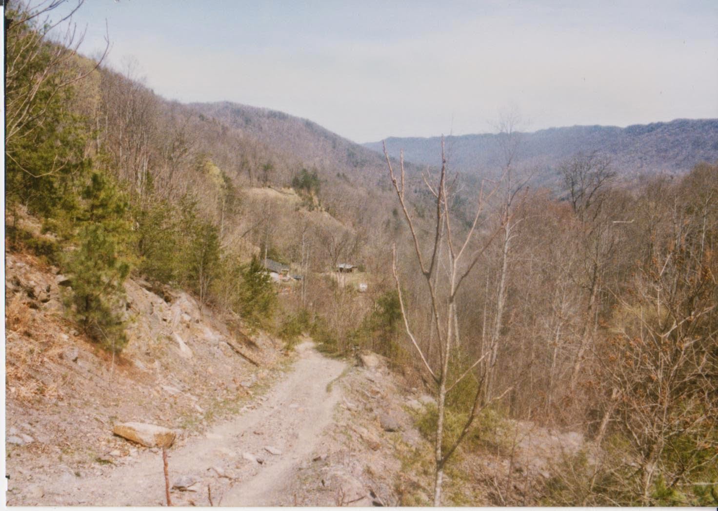 The Linefork Years: Introduction