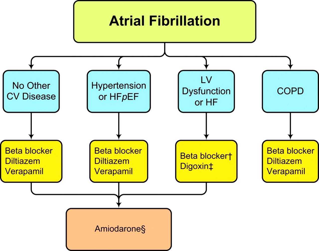 Management of atrial fibrillation
