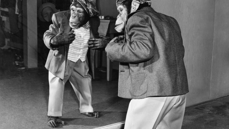 When Did Humans Start Wearing Clothes? - Textile Study365