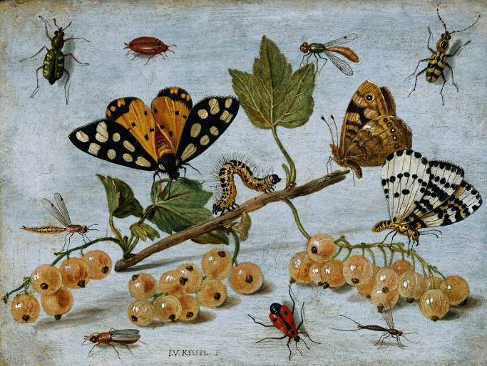 It's About Time : Intriguing still lifes by Jan van Kessel (Flemish ...