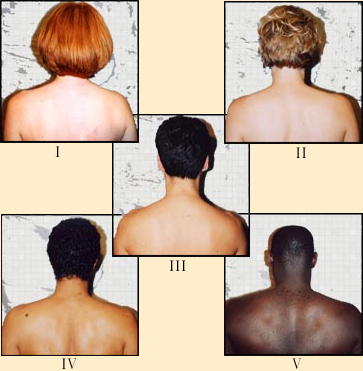 The Subversive Archaeologist: A Rose by Any Other Name Would Smell as ...