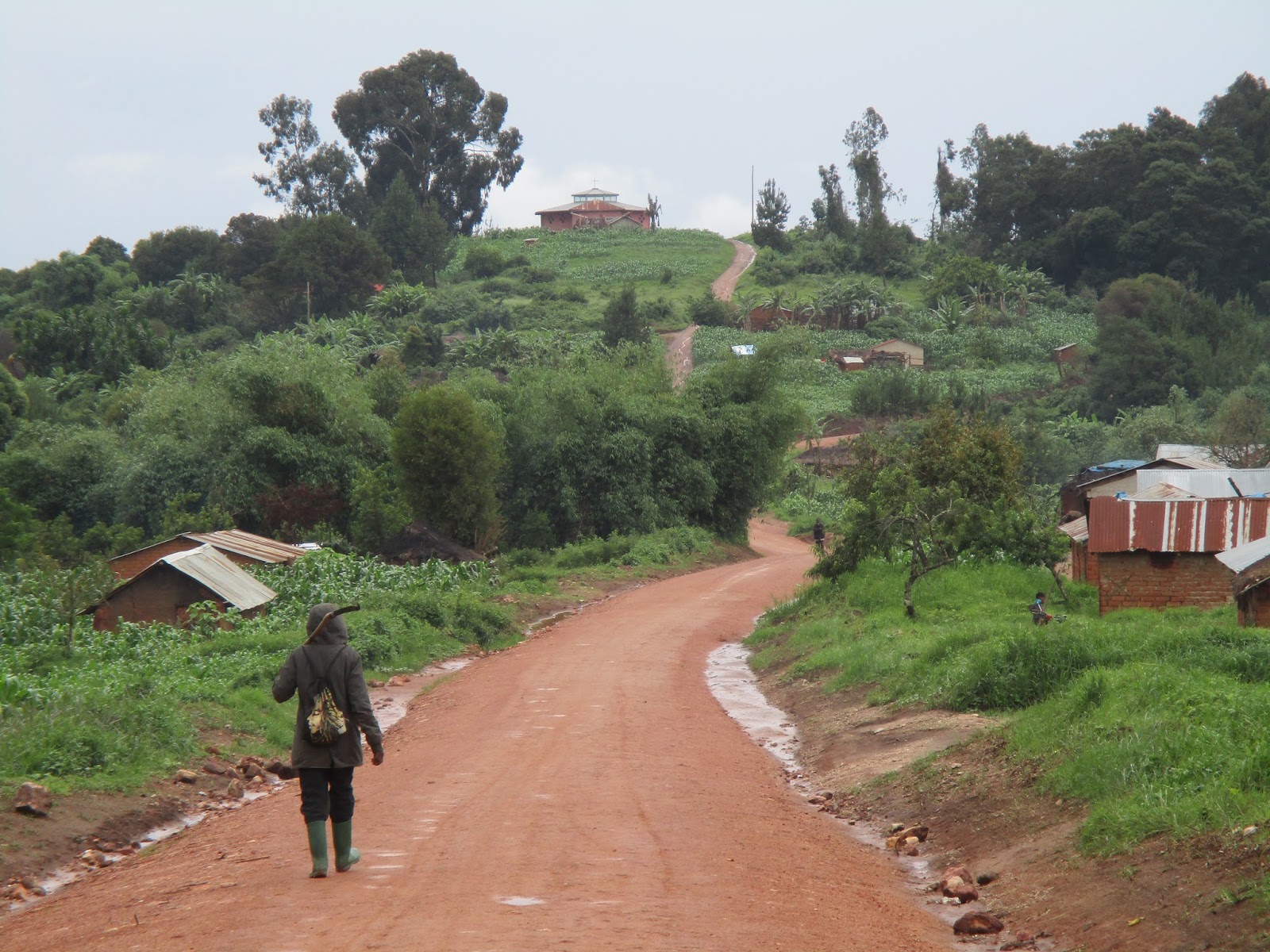 Clarifari auf Safari: Mapanda