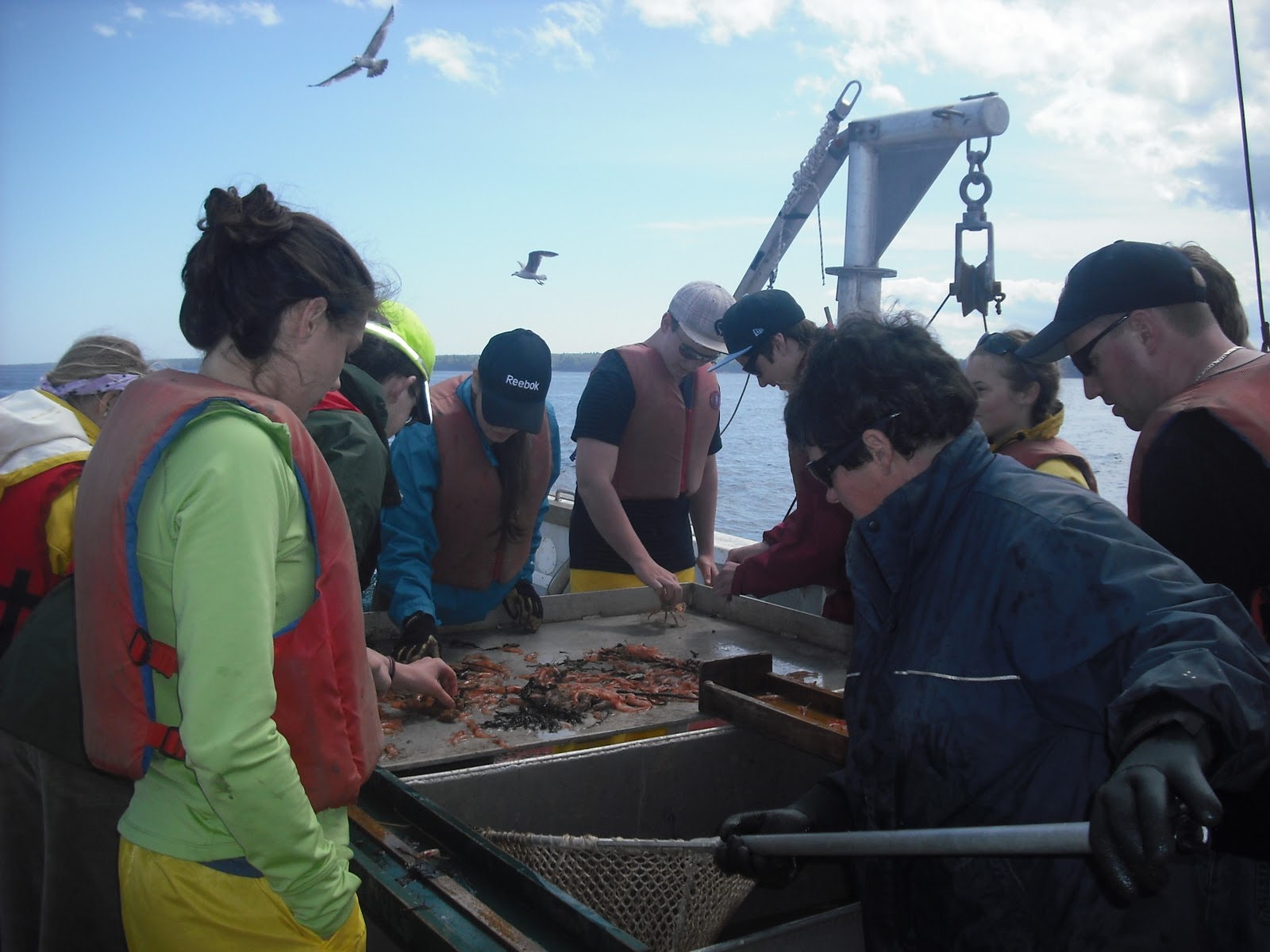 Huntsman Marine Science Centre: Fish lab