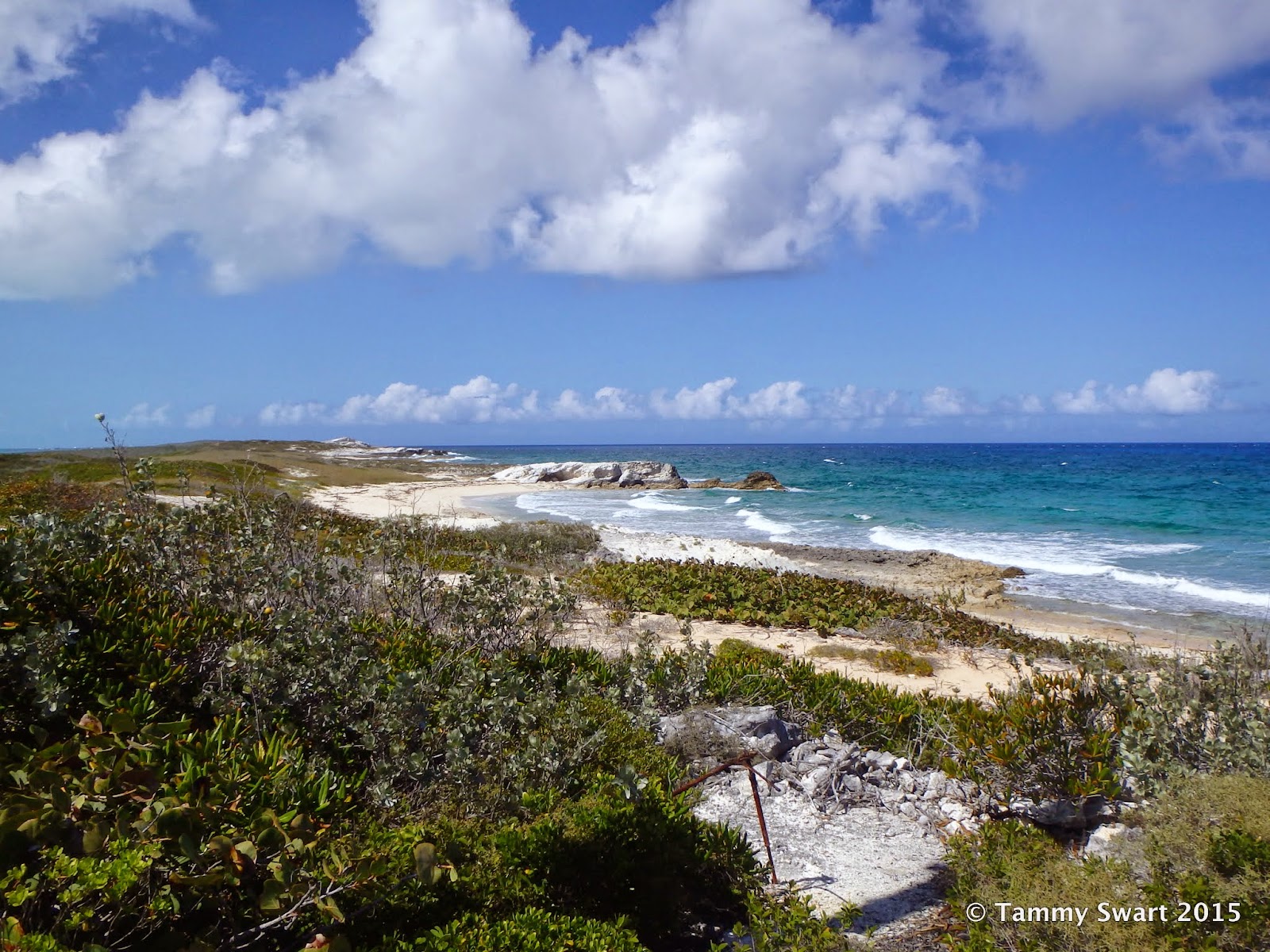 Things we did today...: Black Point Settlement