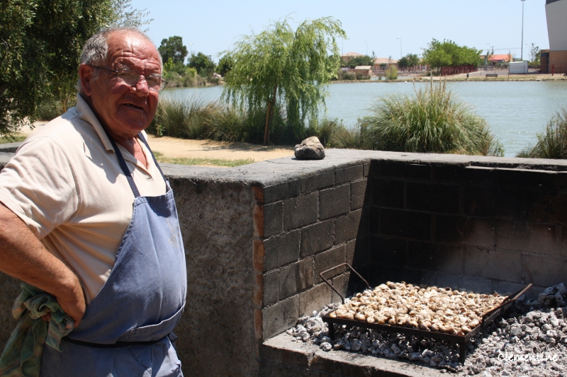 Le blog de Clementine: Visite du Domaine Bobé de Robert Vila à Saint Estève