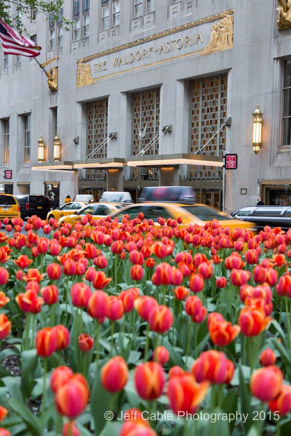 Jeff Cable's Blog: New York in Spring Time - From Park Avenue to ...
