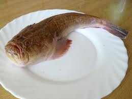 NATURALEZA EN VENA: 2012-04-29