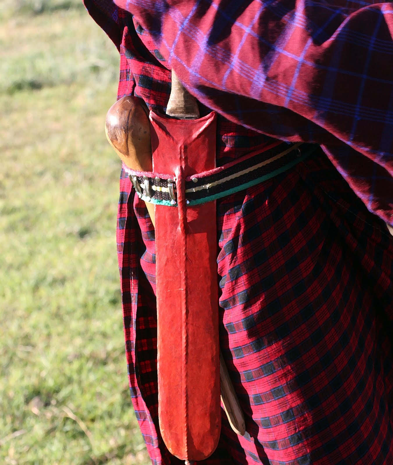 Windflower Farm Weekly