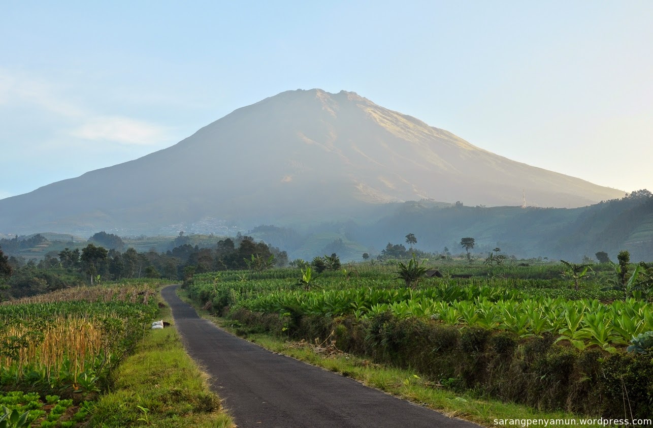Jalur Pendakian gunung Sumbing. | kabut senja
