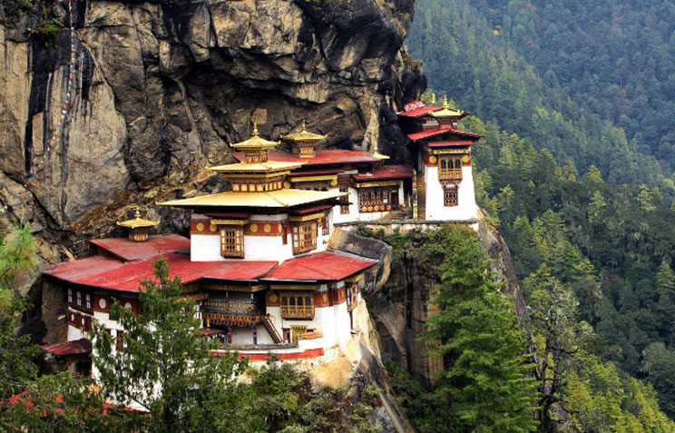 Deeshari Tourist Hub