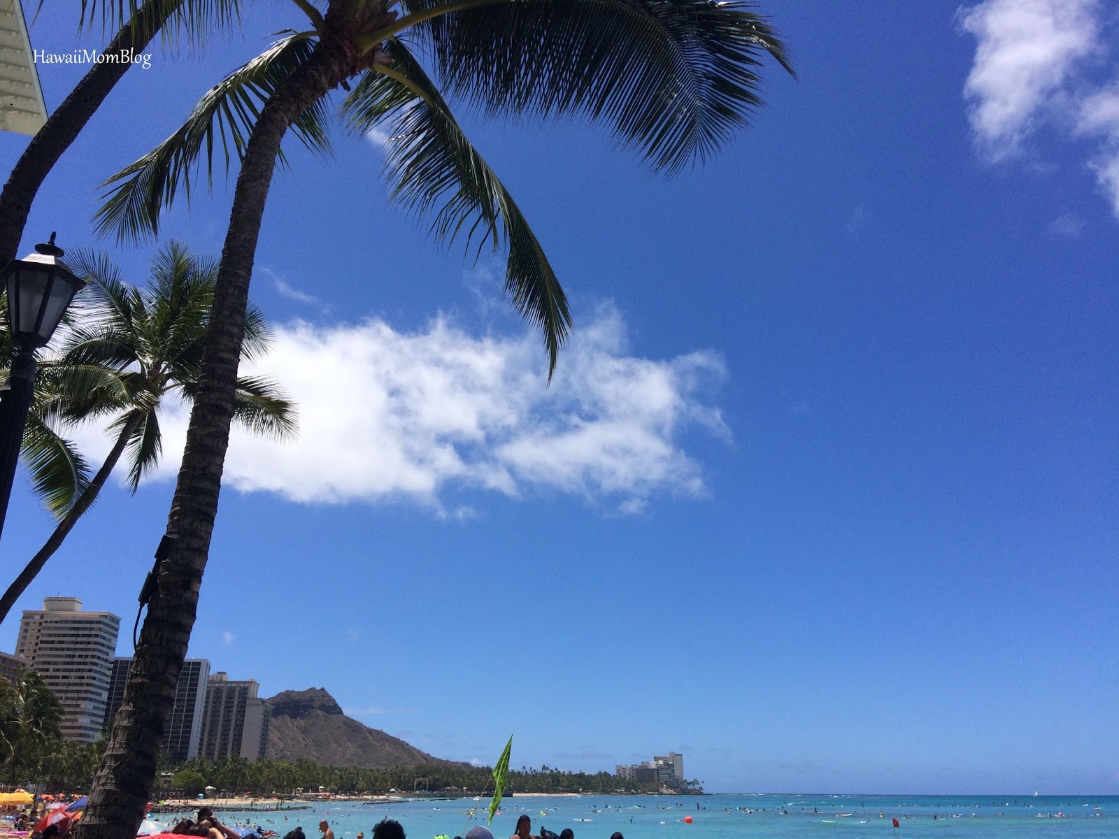 Hawaii Mom Blog: Highlights from the 8th Annual Mangoes at the Moana