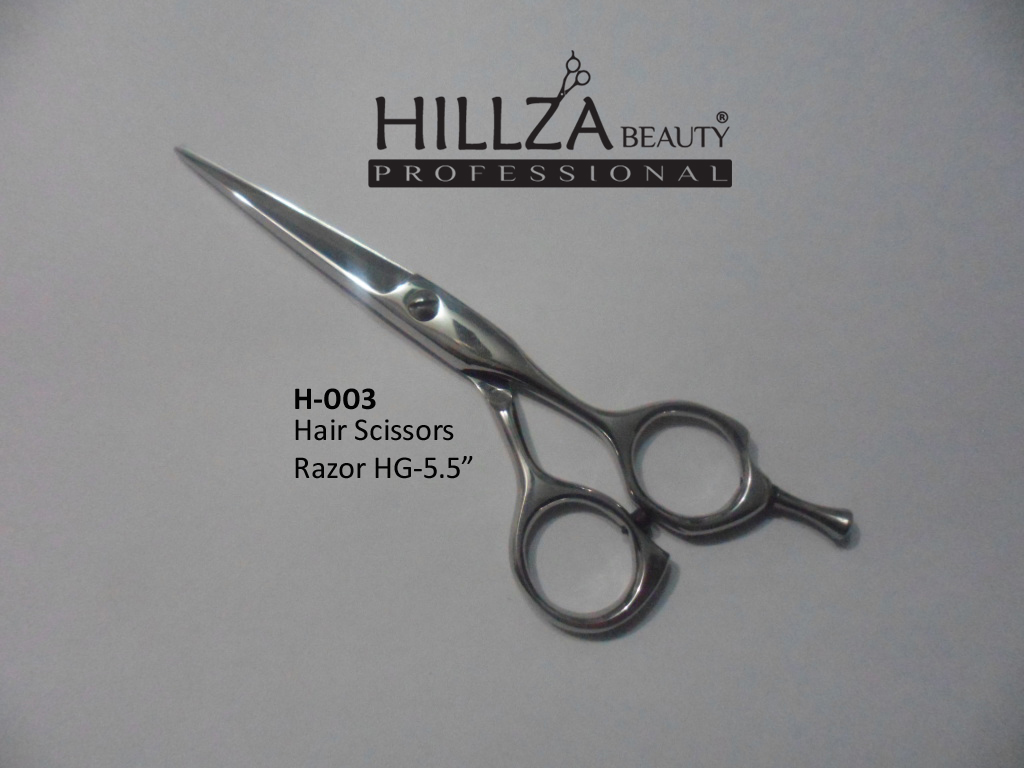 Professional Razor Edge Scissors. Salon Scissors, Hairdressing Scissors ...